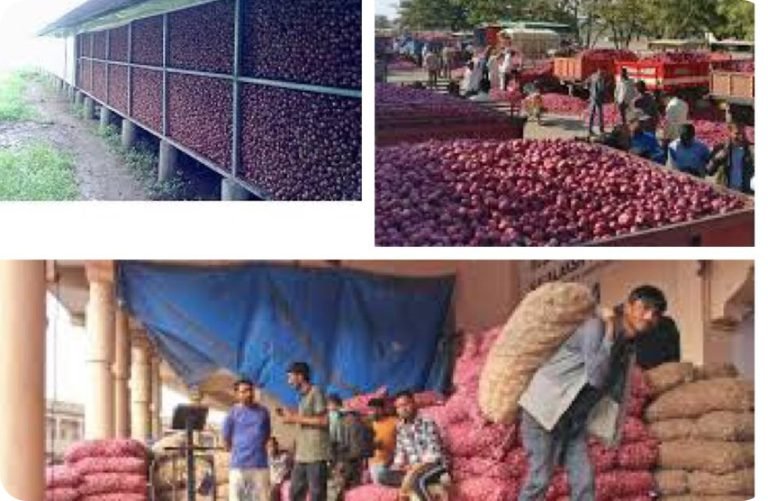 Organic Certification of Trading Operation - Chola Organic ...